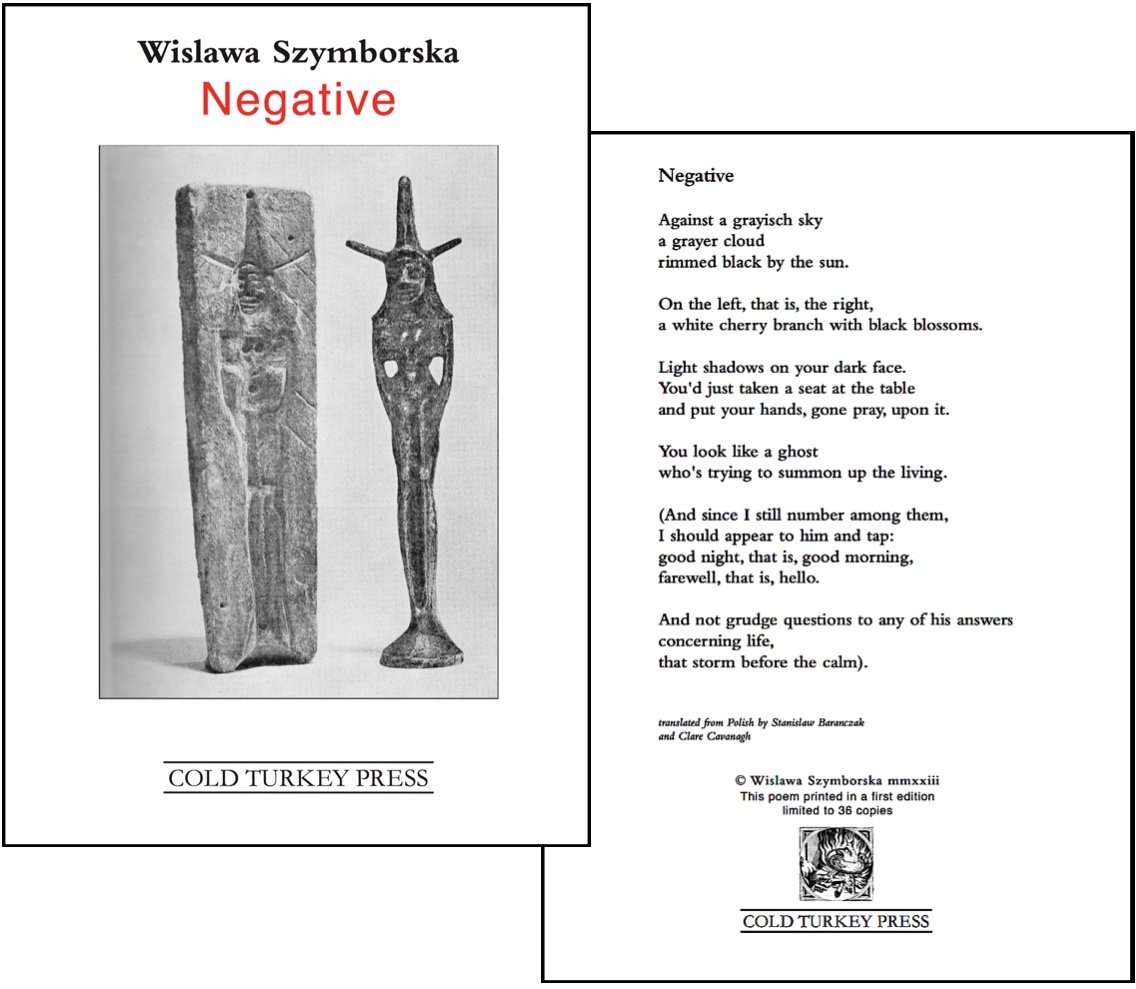 Wislawa Szymborska: ‘Negative’ | Straight Up | Jan Herman