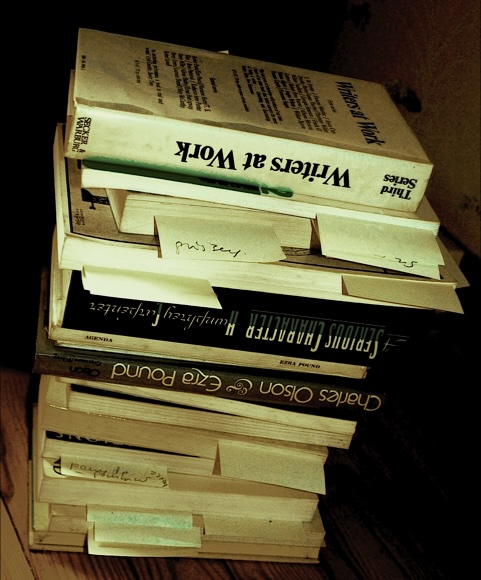 Book Thief | Straight Up | Jan Herman