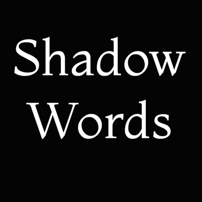 New Release Adds PoemsWhat Perplexity AI Has to Say About Shadow Words ...