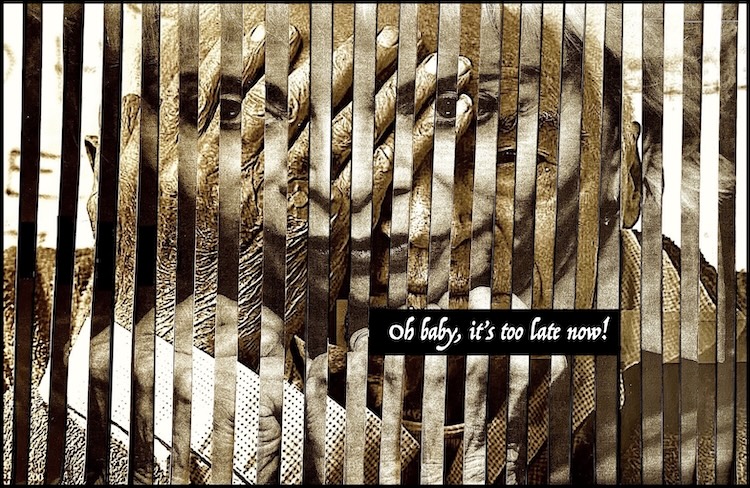 About Marjorie Taylor Greene’s Apostasy . . . | Straight Up | Jan Herman